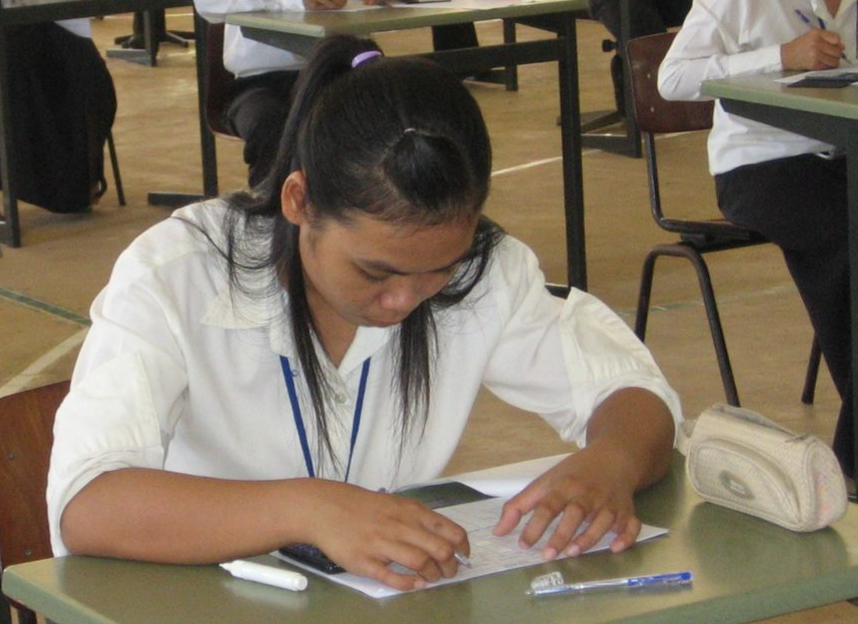 The Merits of Merit – Yellow Stripes & Dead Armadillos