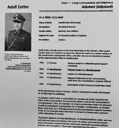 Could It Happen Here? – Yellow Stripes & Dead Armadillos