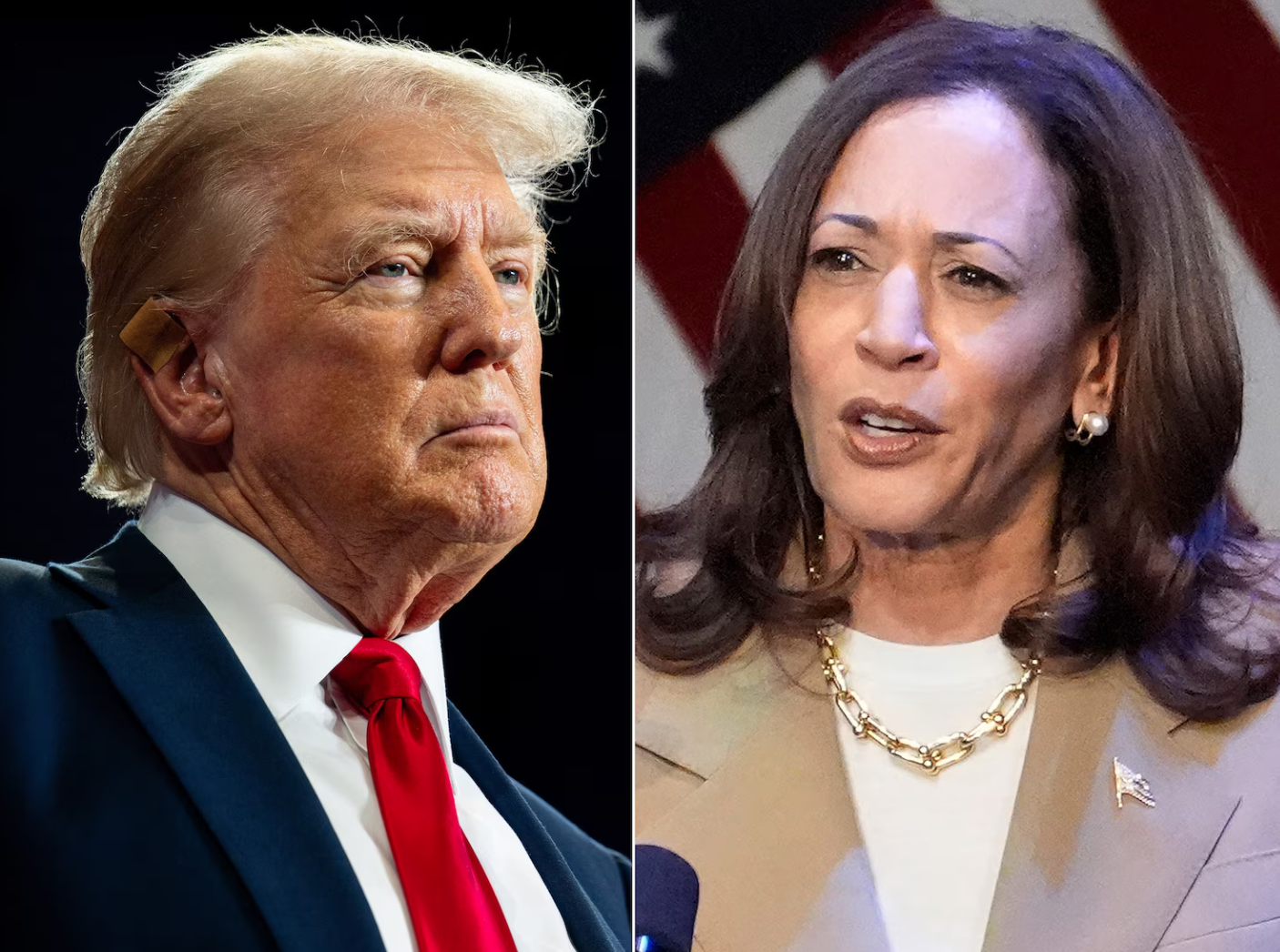 Our Take on Tonight’s Debate – Yellow Stripes & Dead Armadillos