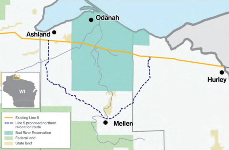 How Environmentalists Have Gone Astray – Yellow Stripes & Dead Armadillos